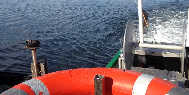 The Marine Scalefish Fishery Management Advisory Committee - PIRSA