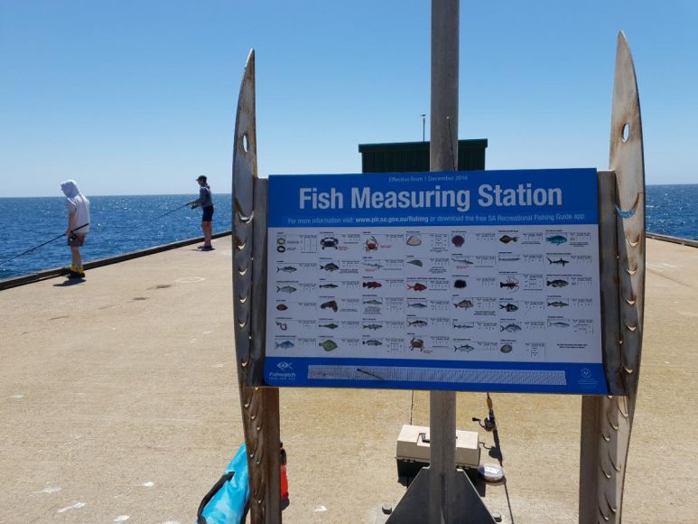 Responsible fishing skills - PIRSA