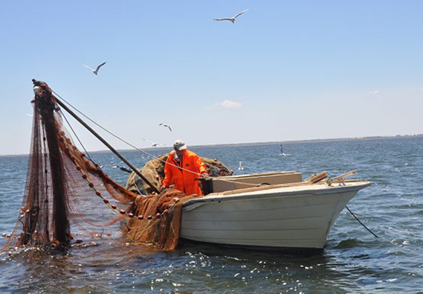 Managing recreational fishing - PIRSA