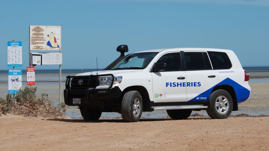 Commercial fishing - PIRSA