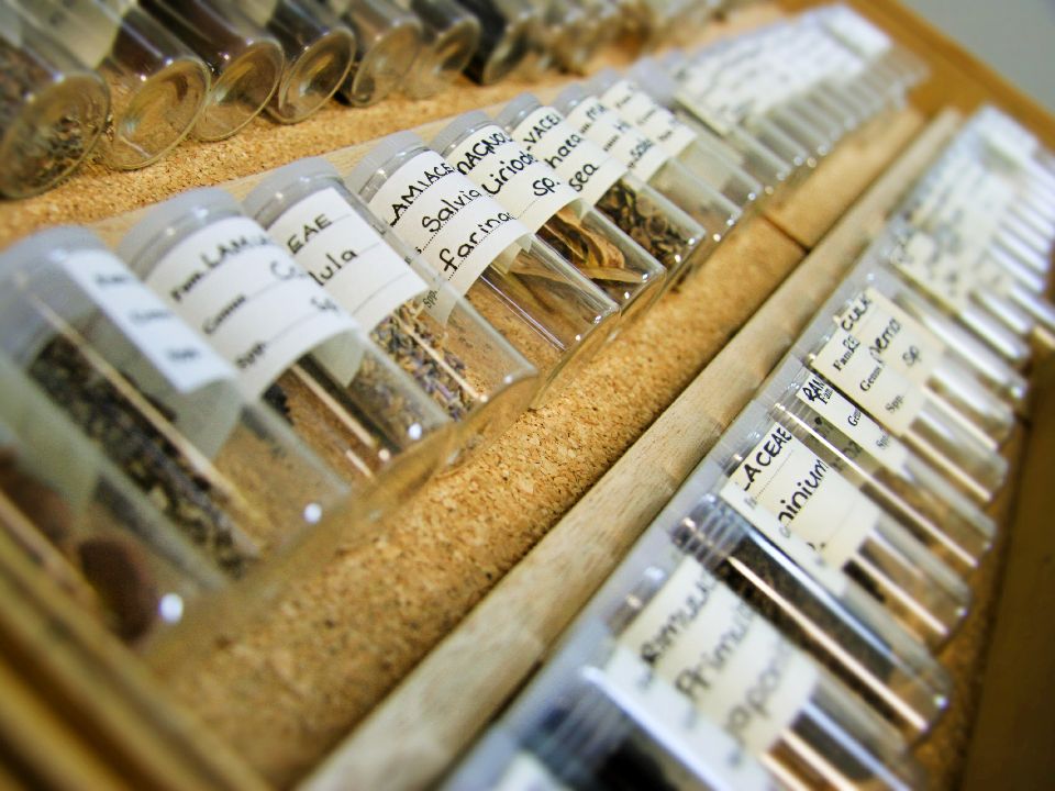 Seed Services Australia - Department of Primary Industries and Regions ...
